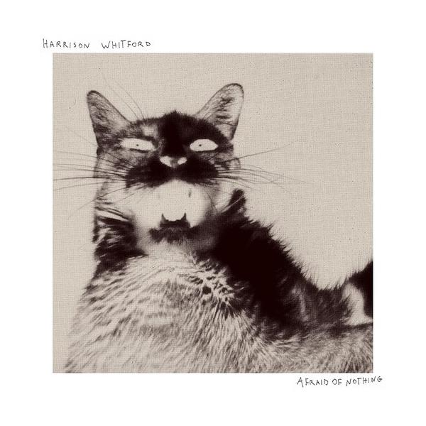 発売日: 2022/7/29輸入盤USレーベル: Screwdriver Records収録曲: 1.1 Start1.2 Salvation Army1.3 Anyplace I Am1.4 Linoleum1.5 Picture in ...