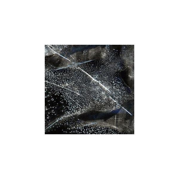 発売日: 2015/6/9輸入盤レーベル: Arctic Tone収録曲:コメント:Yui Onodera is a musician and composer based in Tokyo, Japan. This latest musi...