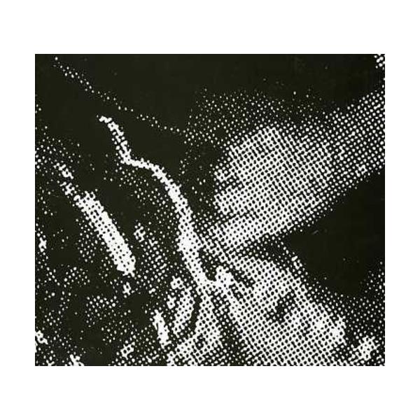 発売日: 2006/5/16輸入盤レーベル: Acuarela収録曲: 1.1 Drift Yellow Swans1.2 GMS - Guitar Electronics1.3 Pete Swanson - Vocals Electron...