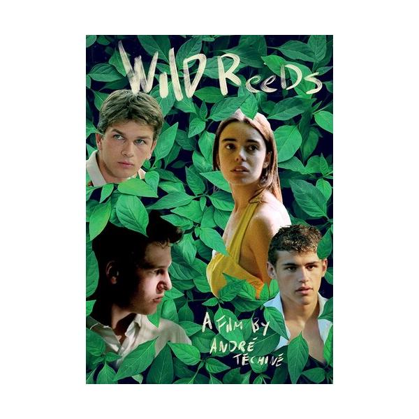 こちらのＤＶＤは輸入盤ＤＶＤです。リージョン＝フリーのＤＶＤプレイヤーでない場合、再生できない可能性があります。YAHOOショッピングではリージョン＝フリーのＤＶＤプレイヤーもお取り扱いしております。種別：DIGITAL VIDEO DIS...