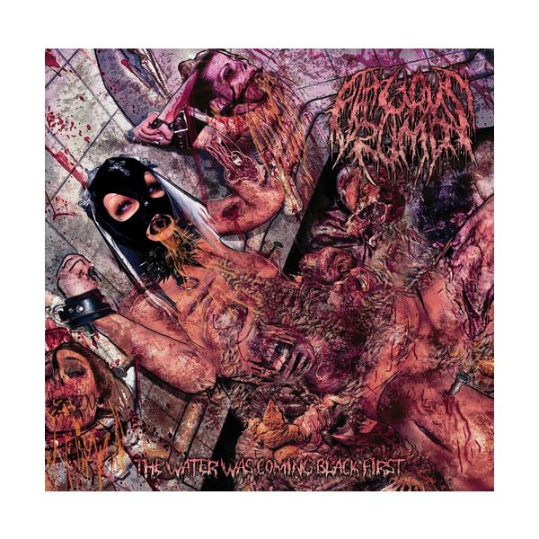 【発売日：2025年03月07日】2025/3/7 発売輸入盤レーベル： AMPUTATED VEIN REC.収録曲：