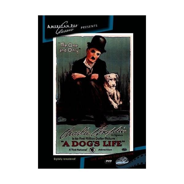 こちらのＤＶＤは輸入盤ＤＶＤです。リージョン＝フリーのＤＶＤプレイヤーでない場合、再生できない可能性があります。YAHOOショッピングではリージョン＝フリーのＤＶＤプレイヤーもお取り扱いしております。種別：DIGITAL VIDEO DIS...