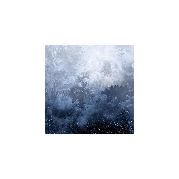 発売日: 2014/7/8輸入盤レーベル: Artemisia収録曲: 1.1 Turning Ever Towards the Sun1.2 Initiation at Neudeg Alm1.3 Bridge of Leaves1.4 ...