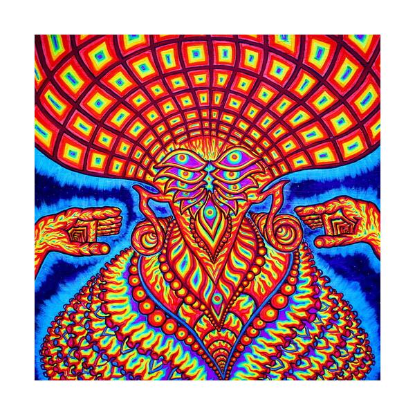 発売日: 2020/4/10輸入盤USレーベル: Anti収録曲: 1.1 The Regulator1.2 The Longing1.3 Apropos Of Nothing1.4 Dusting Off The Rust1.5 The ...