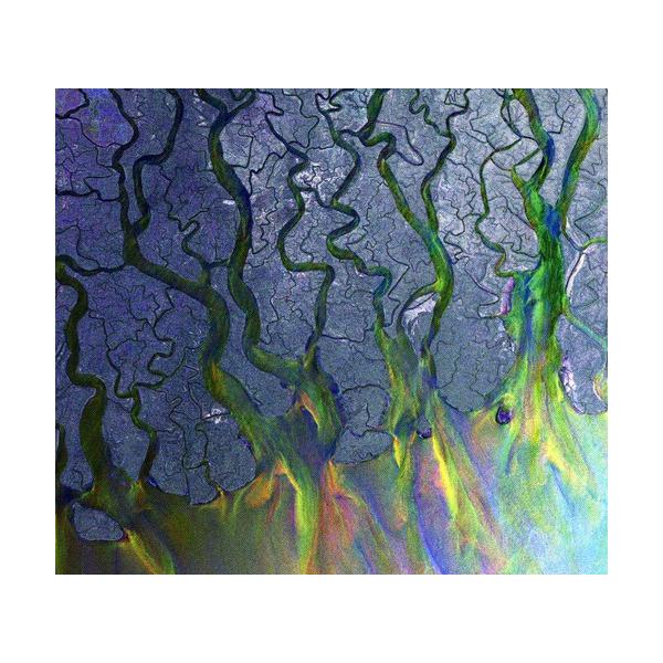 発売日: 2012/9/18輸入盤レーベル: Atlantic収録曲: 1.1 Intro1.2 [Untitled]1.3 Tessellate1.4 Breezeblocks1.5 [Untitled]1.6 Something Goo...