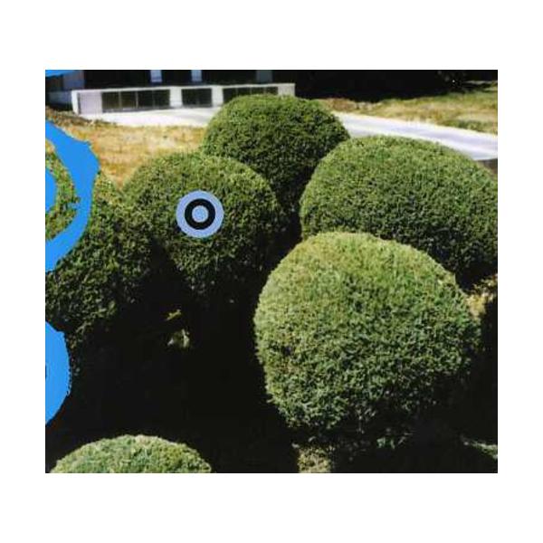 発売日: 2002/1/15輸入盤レーベル: Audio Dregs Records収録曲: 1.1 Sleeping (On Trains)1.2 Dawn1.3 Phone Lines1.4 Bathrobe1.5 Noon1.6 Ai...