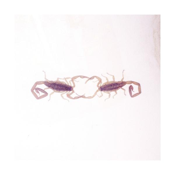 発売日: 2016/1/29輸入盤レーベル: Ba Da Bing収録曲: 1.1 The Curtains Part1.2 Two Rings1.3 Steady Waves1.4 High Rise1.5 Something Unsee...