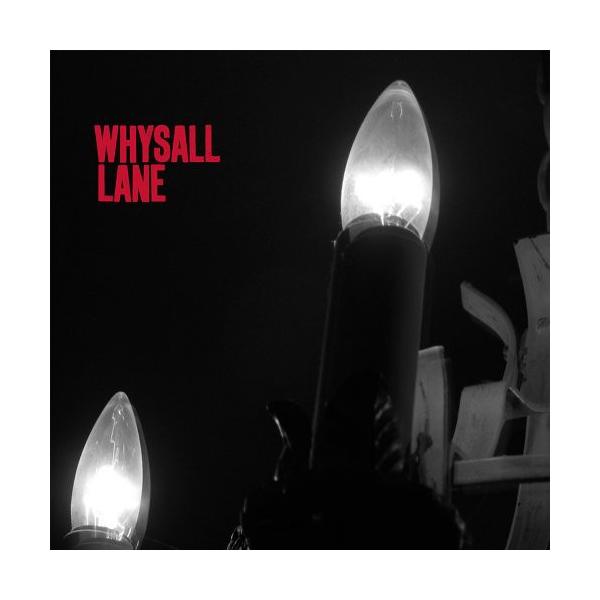 発売日: 2006/2/14輸入盤レーベル: Blackball Records収録曲: 1.1 Not a Fool1.2 Half Life1.3 Time Machine1.4 The Way Back1.5 Pillows1.6 W...