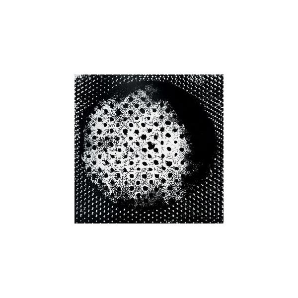 2016/6/10 発売輸入盤レーベル：BIOPHON収録曲：