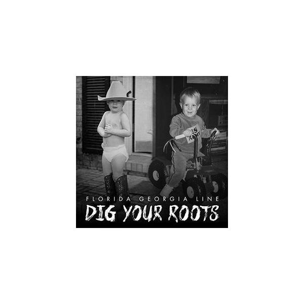 2016/8/26発売輸入盤レーベル：BMX収録曲：1. Smooth - 2:492. Dig Your Roots - 3:353. Life Is a Honeymoon (Featuring Ziggy Marley) - 3:05...