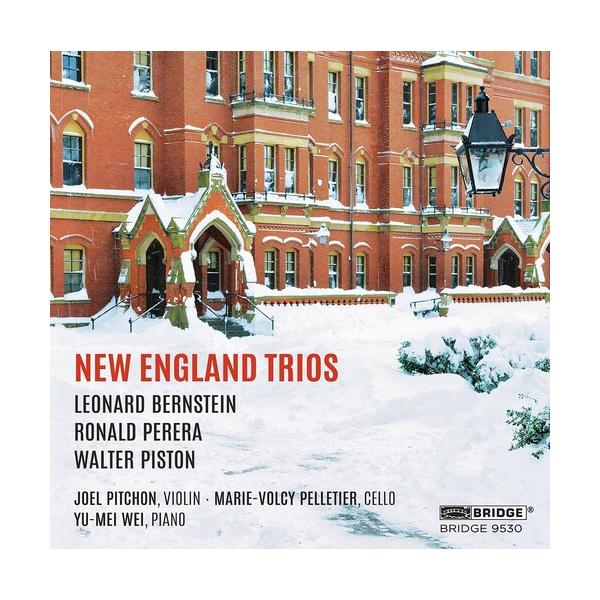 発売日: 2020/3/20輸入盤USレーベル: Bridge収録曲:コメント:This recording presents four trios by American composers who are linked by their...