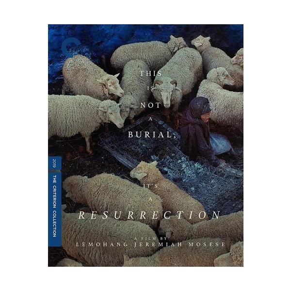 輸入盤ブルーレイですが日本のブルーレイ・プレイヤーで視聴できます。※ご確認ください※一部輸入版アニメブルーレイには、「リージョンコード」とは別の「国コード」というものが設定されている作品がございます。お持ちのブルーレイ・プレイヤーが国コード...