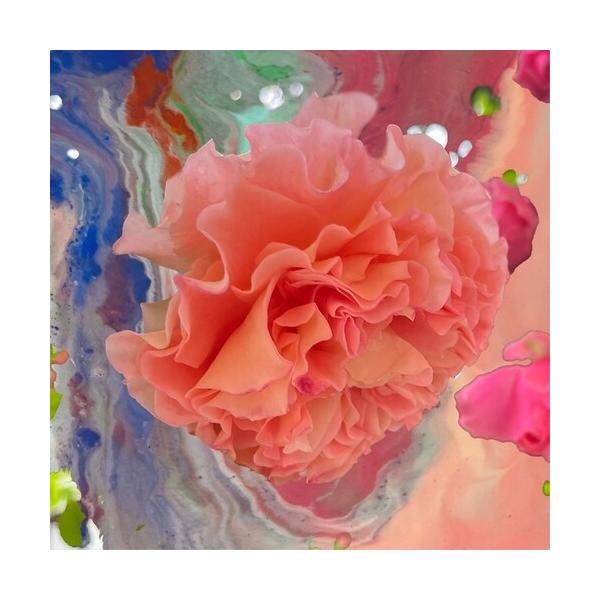 発売日: 2023/3/31輸入盤USレーベル: Conic Rose収録曲:コメント: