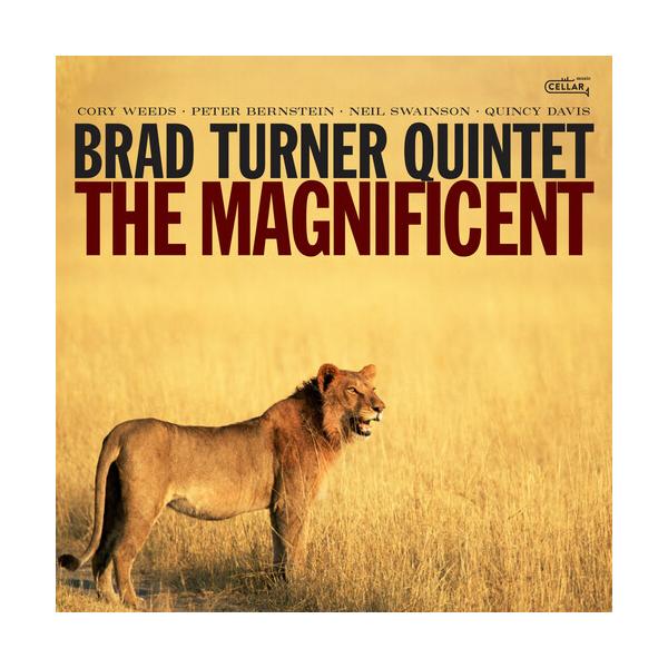 発売日: 2023/9/22輸入盤USレーベル: Cellar Live収録曲: 1.1 You’re OK1.2 Barney’s Castle1.3 Slapped My Mind1.4 Virtue Signals1.5 To Beg...