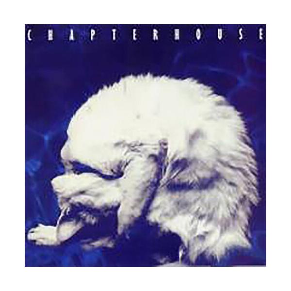 輸入盤収録曲：