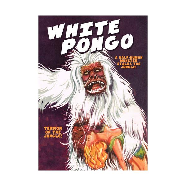 こちらのＤＶＤは輸入盤ＤＶＤです。リージョン＝フリーのＤＶＤプレイヤーでない場合、再生できない可能性があります。YAHOOショッピングではリージョン＝フリーのＤＶＤプレイヤーもお取り扱いしております。2023/9/26発売輸入盤ジャンル：A...