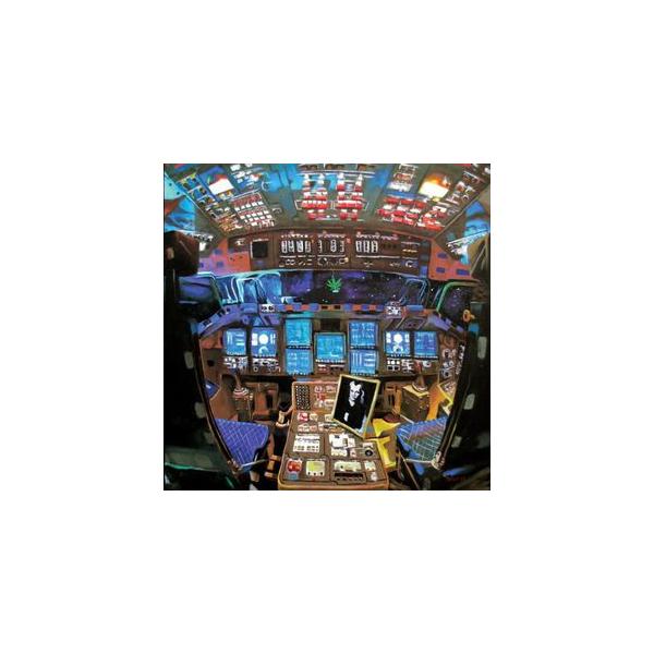 2014/3/4 発売輸入盤レーベル：CASTLEFACE収録曲：(ダメージドバッグ)