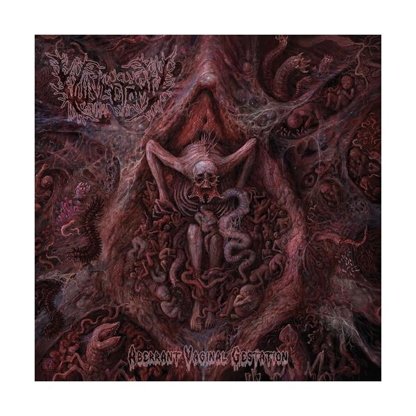 【発売日：2025年04月11日】2025/4/11 発売輸入盤レーベル： COMATOSE収録曲：