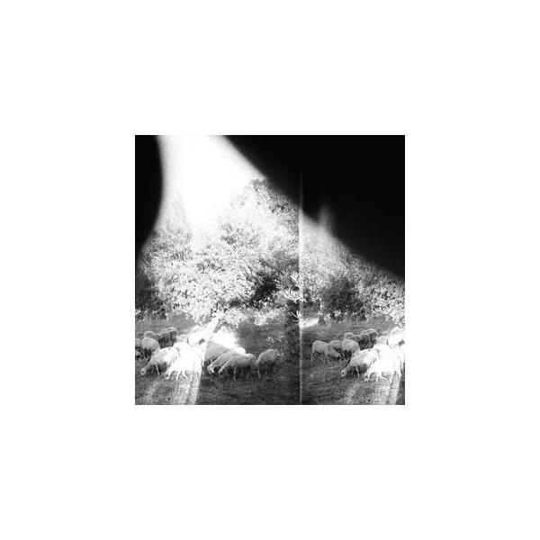 2015/3/31 発売輸入盤レーベル： CONSTELLATION収録曲：