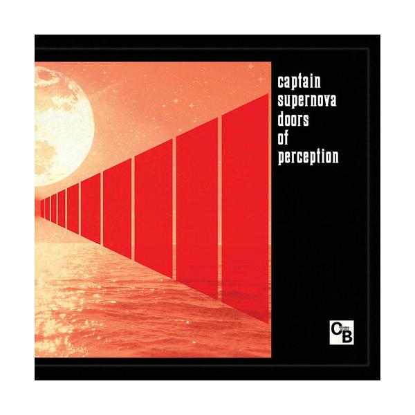 2016/3/25 発売輸入盤レーベル：COLD BUSTED収録曲：