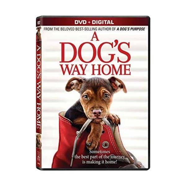 こちらのＤＶＤは輸入盤ＤＶＤです。リージョン＝フリーのＤＶＤプレイヤーでない場合、再生できない可能性があります。YAHOOショッピングではリージョン＝フリーのＤＶＤプレイヤーもお取り扱いしております。種別：DIGITAL VIDEO DIS...