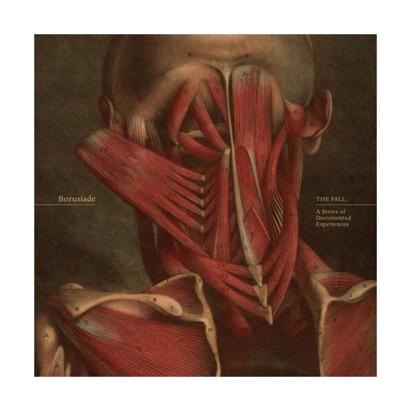 【発売日：2024年11月22日】こちらの商品は輸入盤のため、稀にジャケットに多少のスレや角にシワがある場合がございます。2024/11/22 発売輸入盤レーベル：DARK ENTRIES収録曲：