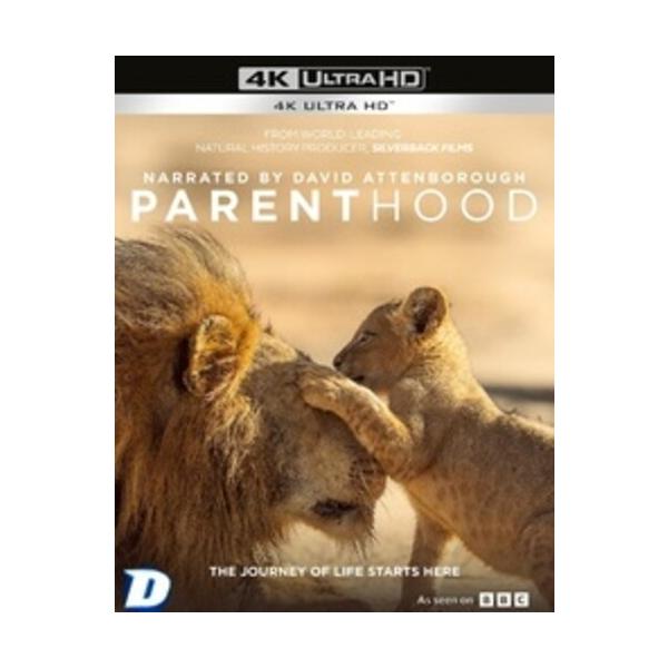 【発売日：2025年10月10日】こちらの商品は4K Ultra-HD Blu-ray ですので　4K Ultra-HD Blu-ray　プレイヤーでのみご覧いただけます。ジャンル：DOCUMENTARY発売日：2025/10/10コメント：