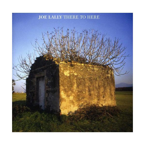 輸入盤収録曲：(ジョーラリー)