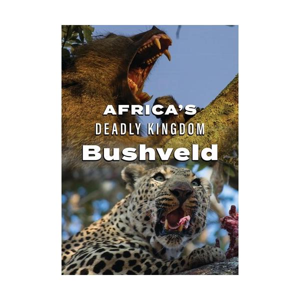 【発売日：2024年07月09日】こちらのＤＶＤは輸入盤ＤＶＤです。リージョン＝フリーのＤＶＤプレイヤーでない場合、再生できない可能性があります。YAHOOショッピングではリージョン＝フリーのＤＶＤプレイヤーもお取り扱いしております。レーベ...