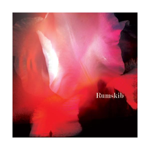 輸入盤収録曲：