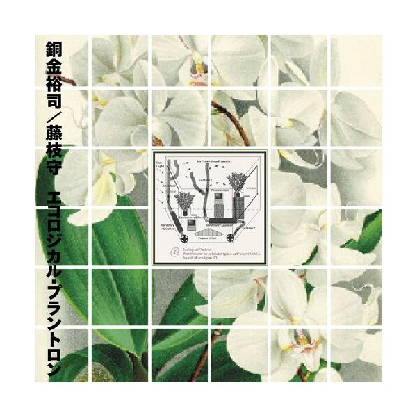 こちらの商品は輸入盤のため、稀にジャケットに多少のスレや角にシワがある場合がございます。こちらの商品はネコポスでお届けできません。2023/2/24発売輸入盤レーベル：EM RECORDS収録曲：Ecological Plantron wa...