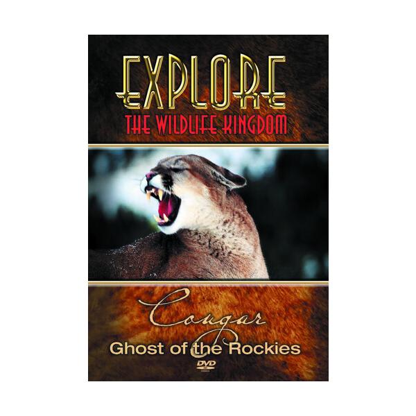 こちらのＤＶＤは輸入盤ＤＶＤです。リージョン＝フリーのＤＶＤプレイヤーでない場合、再生できない可能性があります。YAHOOショッピングではリージョン＝フリーのＤＶＤプレイヤーもお取り扱いしております。2006/5/16 発売輸入盤ジャンル：...