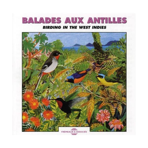 輸入盤収録曲：