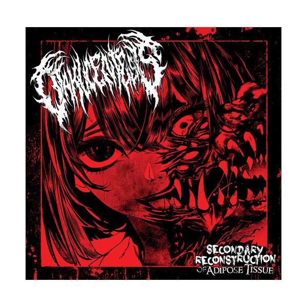 【発売日：2025年03月07日】2025/3/7 発売輸入盤レーベル： GHASTLY RECORDS収録曲：