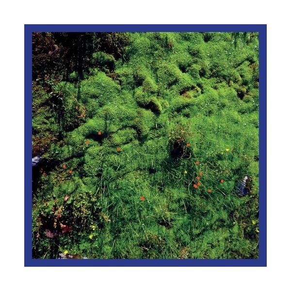 こちらの商品は輸入盤のため、稀にジャケットに多少のスレや角にシワがある場合がございます。こちらの商品はネコポスでお届けできません。2023/2/10 発売輸入盤レーベル：HALLOW GROUND収録曲：