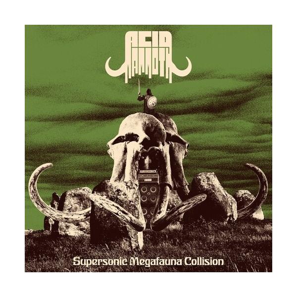 こちらの商品は輸入盤のため、稀にジャケットに多少のスレや角にシワがある場合がございます。こちらの商品はネコポスでお届けできません。2024/4/5発売輸入盤レーベル：HEAVY PSYCH SOUNDS収録曲：