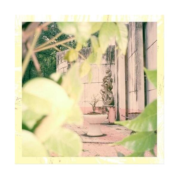 2016/12/30 発売輸入盤レーベル：ICOSAHEDRON MUSIC収録曲：