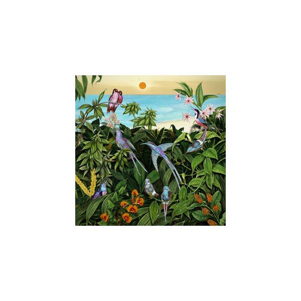 2016/7/8 発売輸入盤レーベル：INTERNATIONAL FEEL収録曲：