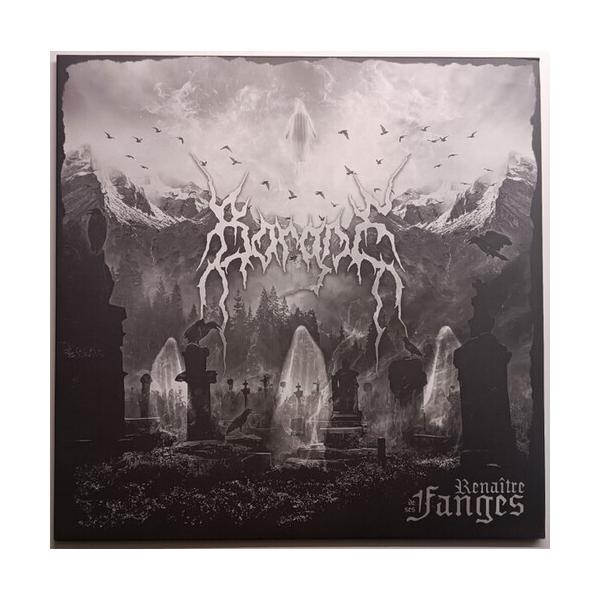 【発売日：2025年04月11日】こちらの商品はＵＫ盤のため、稀にジャケットに多少のスレや角にシワがある場合がございます。2025/4/11発売ＵＫ盤レーベル：LADLO PRODUCTIONS収録曲：