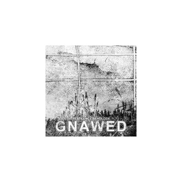 2016/11/4 発売輸入盤レーベル：MALIGNANT RECORDS収録曲：