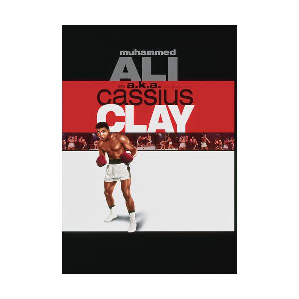 こちらのＤＶＤは輸入盤ＤＶＤです。リージョン＝フリーのＤＶＤプレイヤーでない場合、再生できない可能性があります。YAHOOショッピングではリージョン＝フリーのＤＶＤプレイヤーもお取り扱いしております。種別：DIGITAL VIDEO DIS...