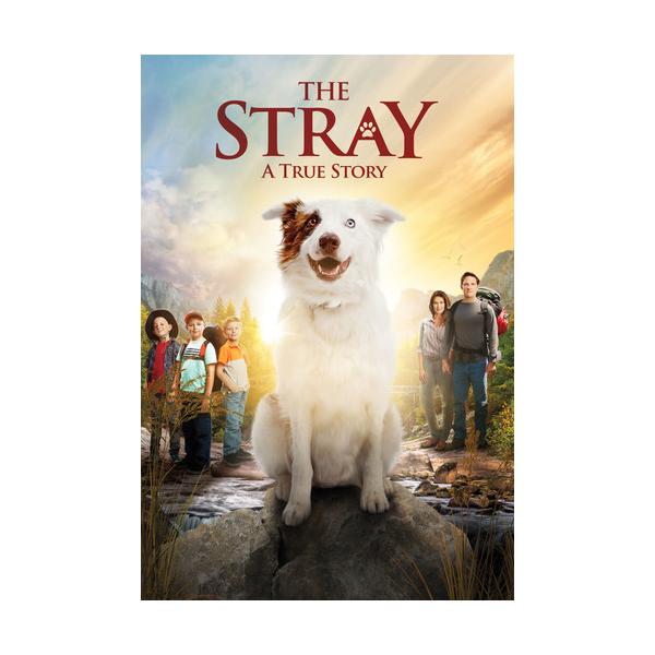 こちらのＤＶＤは輸入盤ＤＶＤです。リージョン＝フリーのＤＶＤプレイヤーでない場合、再生できない可能性があります。YAHOOショッピングではリージョン＝フリーのＤＶＤプレイヤーもお取り扱いしております。種別：DIGITAL VIDEO DIS...