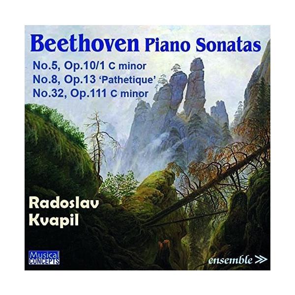 ラドスラフ・クヴァピル2016/1/22 発売輸入盤レーベル：MUSICAL CONCEPTS収録曲：