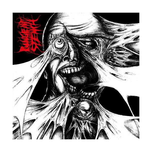 【発売日：2025年11月28日】2025/11/28 発売輸入盤レーベル：NAPALM収録曲：