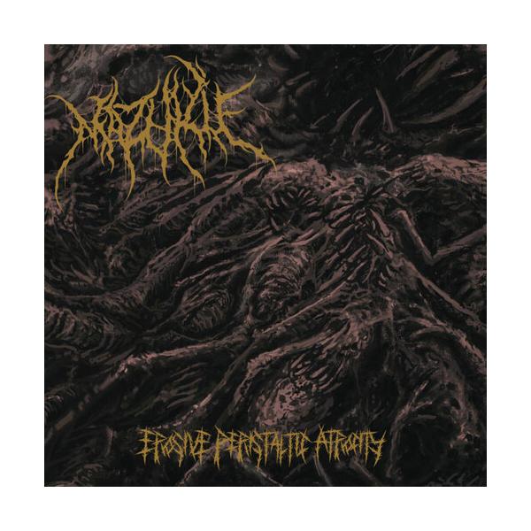 【発売日：2025年08月08日】2025/8/8 発売輸入盤レーベル： NEW STANDARD ELITE収録曲：