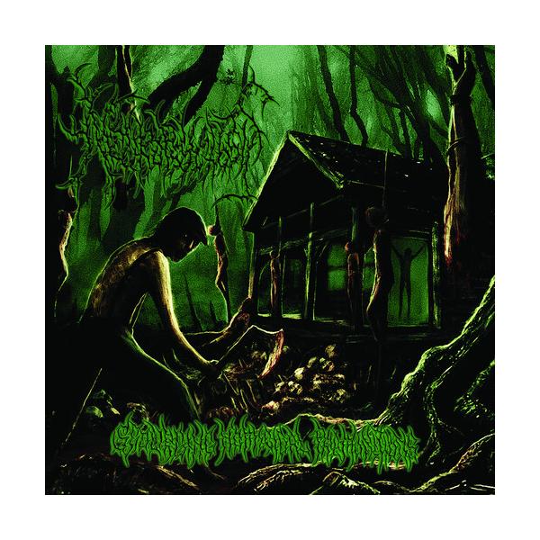 【発売日：2025年01月17日】2025/1/17 発売輸入盤レーベル： NEW STANDARD ELITE収録曲：