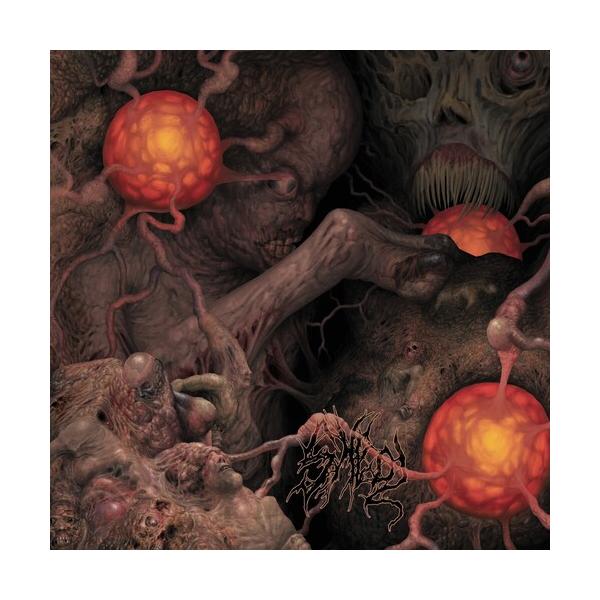 【発売日：2025年04月11日】2025/4/11 発売輸入盤レーベル： NEW STANDARD ELITE収録曲：