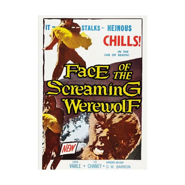 こちらのＤＶＤは輸入盤ＤＶＤです。リージョン＝フリーのＤＶＤプレイヤーでない場合、再生できない可能性があります。YAHOOショッピングではリージョン＝フリーのＤＶＤプレイヤーもお取り扱いしております。種別：DIGITAL VIDEO DIS...