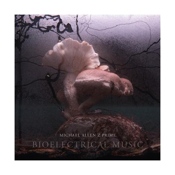 2023/4/21 発売輸入盤レーベル： PARADIGM DISCS収録曲：