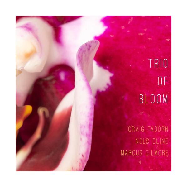 【発売日：2025年09月26日】2025/9/26 発売輸入盤レーベル：PYROCLASTIC RECORDS収録曲：